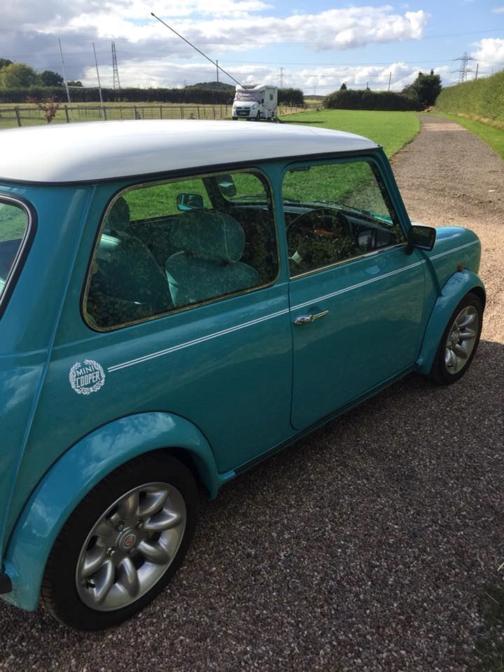Zen Graphics - Classic Mini Cooper restoration Decals / Pin Stripes ...
