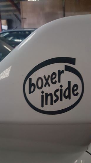 Zen Graphics - Boxer Inside Decals / Stickers