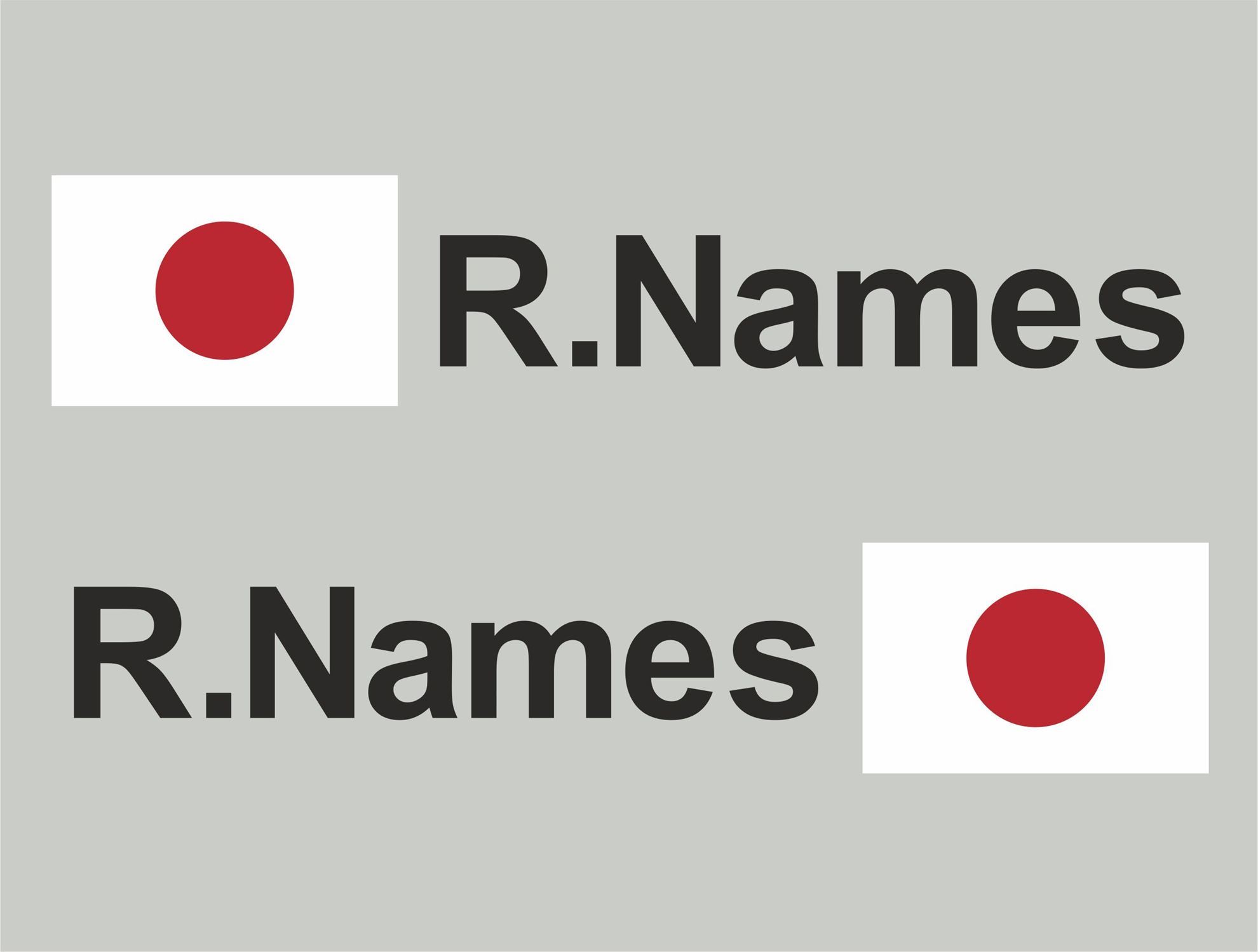 Zen Graphics - Japan Glass / Panel Driver Name Decals / Stickers