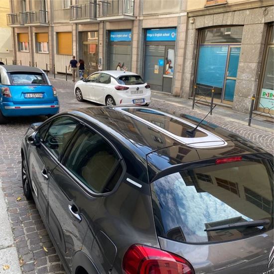 Zen Graphics - Citroen C3 2016 onwards Roof Graphic / Sticker FACTORY FIT