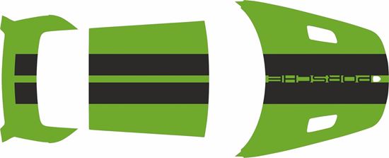 Zen Graphics - 991 GT3 RS 2018 - 2019 OTT Stripes and Wing Decal